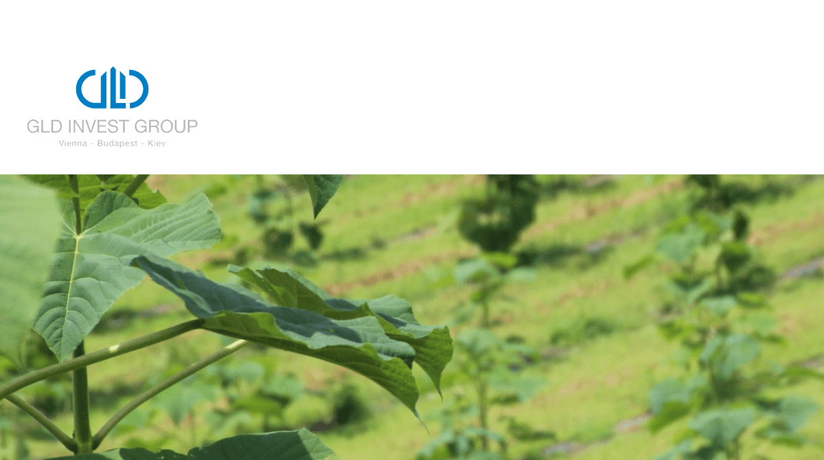 GLD Invest Group — Real Estate Projektentwicklung & Investment